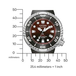 Citizen Herren Taucheruhr &raquo;Promaster Professional Diver 300&laquo; Armbanduhr, Solar, Herrenuhr, analog, Tag, Batterie-Entladungsanzeige schwarz