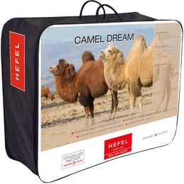 Hefel Naturhaarbettdecke &raquo;Camel Dream Ganzjahresdecke&laquo; normal F&uuml;llung Kamelhaar 1 Stk. tlg. Kuscheliges zartes Kamelhaar wirkt wie eine nat&uuml;rliche 