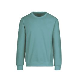 TRIGEMA Sweatshirt »Sweatshirt« seegras M M Sweat-Qualität