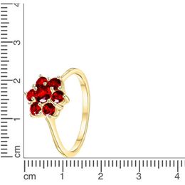 Firetti Fingerring »Schmuck Geschenk Gold 333 Fingerring Damenring Blume« mit Granat gelbgoldfarben-dunkelrot 62 Sag es durch die Blume: Jeden...