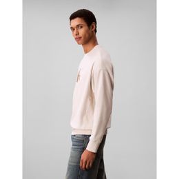 Calvin Klein Jeans Herren Sweatshirt &raquo;LS EU 350TERRY MONOLOGO CN SWTSH&laquo;, Rundhalsausschnitt, regular fit grau L