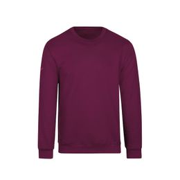 TRIGEMA Herren Sweatshirt &raquo;TRIGEMA Sweatshirt&laquo; rot L