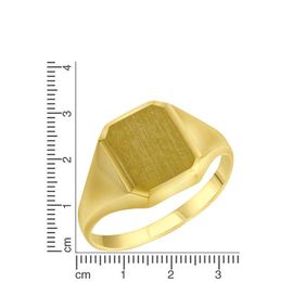 Firetti Herren Goldring &raquo;Schmuck Geschenk Gold 375 Herrenring Goldring&laquo; gold