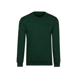 TRIGEMA Herren Sweatshirt &raquo;TRIGEMA Sweatshirt aus Biobaumwolle&laquo; gr&uuml;n M