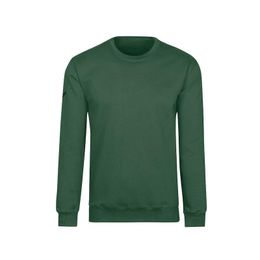 TRIGEMA Damen Sweatshirt &raquo;TRIGEMA Sweatshirt aus Biobaumwolle&laquo; gr&uuml;n XL