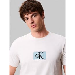 Calvin Klein Herren T-Shirt &raquo;SS 30s E SPRTSWR 3 G&laquo; mit Logo-Print grau M