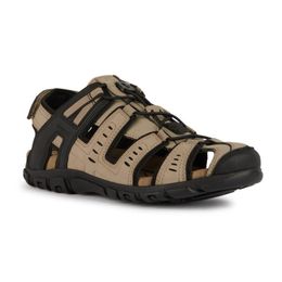 Geox Sandale »UOMO SANDAL STRADA C«, Sommerschuh, Klettschuh, Outdoorsandale, mit Lederfußbett helltaupe-schwarz 41 41 Outdoorsandale mit Gummizug...