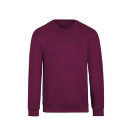 TRIGEMA Sweatshirt »Sweatshirt« sangria XS XS Sweat-Qualität
