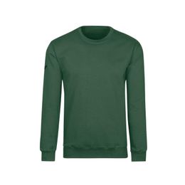 TRIGEMA Herren Sweatshirt &raquo;TRIGEMA Sweatshirt aus Biobaumwolle&laquo; gr&uuml;n L