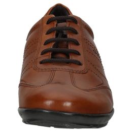 Geox Herren Schn&uuml;rschuh &raquo; Halbschuhe Leder&laquo; braun 40