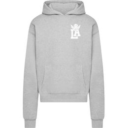 Mister Tee Hoodie "La Wings Heavy Cotton Box Hoody" in Grau | Gr.: L