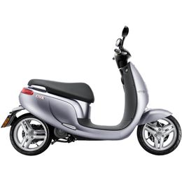 SFM BIKES E-Motorroller SAXXX "SAXXX Ecooter E1S", silber (silberfarben, schwarz), Elektromotorroller, 45 km/h, B:67cm H:106cm L:176cm