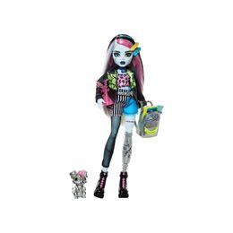 Mattel HXH73 - Monster High - Frankie Stein-Puppe