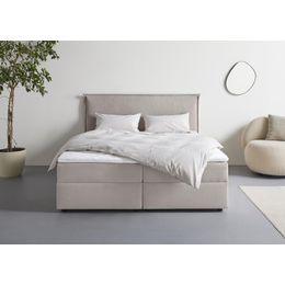 Boxbett s.Oliver "Alissia", grau, B:178cm L:206cm, Komplettbetten, Boxbett mit Bettkasten, inkl. Topper