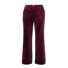 WE Fashion Hose Damen Gr&ouml;&szlig;e 50 aubergine
