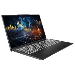 Captiva Business-Notebook »Power Starter I91-110« ohne Farbbezeichnung Windows 11 Home 64-bit