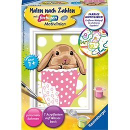 Ravensburger Malen nach Zahlen-Set "Süßes Schlappohr" - ab 7 Jahren - 11% | Kinder-kreativspielzeug