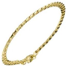 Goldarmband Jobo, gold (gelbgold 333), Armb&auml;nder, Damen, 19cm, Gelbgold 333, Goldarmband, Panzerarmband 333 Gold 19 cm