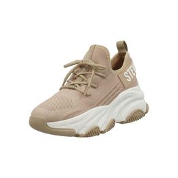 Steve Madden Sneaker in Sand | Gr.: 41