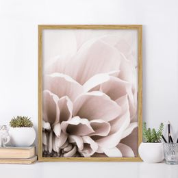 Bild mit Rahmen Chrysantheme in Altrosa II