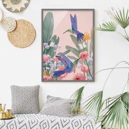 Bild mit Rahmen Kolibris und rosa Bl&uuml;ten