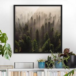 Bilderwelten Bild mit Rahmen Nebel im sonnigen Wald
