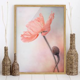 Bild mit Rahmen Mohnblumen Close-Up