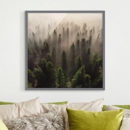 Bild mit Rahmen Nebel im sonnigen Wald