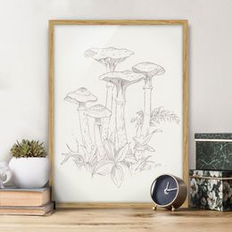 Bilderwelten Bild mit Rahmen Skizzen der Natur - Pilze