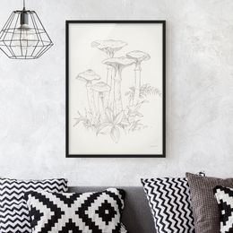 Bilderwelten Bild mit Rahmen Skizzen der Natur - Pilze