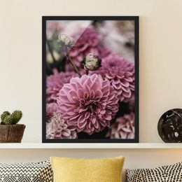 Bilderwelten Bild mit Rahmen Dahlienbouquet Nahaufnahme