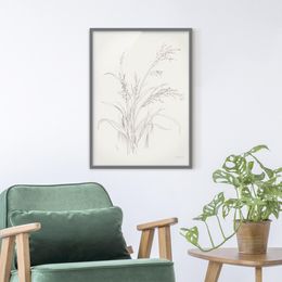 Bild mit Rahmen Skizzen der Natur - Gr&auml;ser