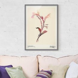 Bild mit Rahmen Flower Market Aquarell - Paris