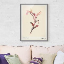 Bild mit Rahmen Flower Market Aquarell - Paris