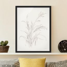 Bilderwelten Bild mit Rahmen Skizzen der Natur - Gr&auml;ser