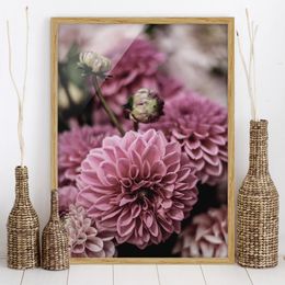 Bild mit Rahmen Dahlienbouquet Nahaufnahme