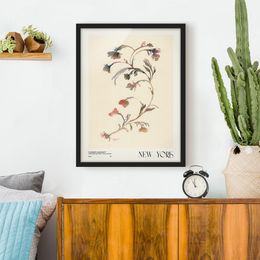 Bilderwelten Bild mit Rahmen Flower Market Aquarell - New York