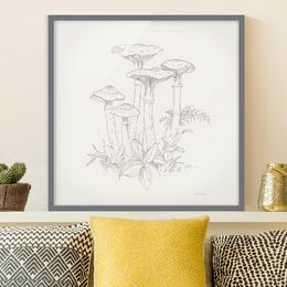 Bild mit Rahmen Skizzen der Natur - Pilze