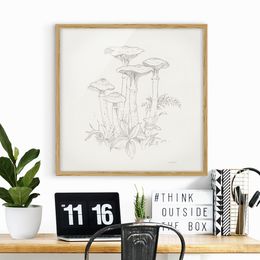 Bild mit Rahmen Skizzen der Natur - Pilze
