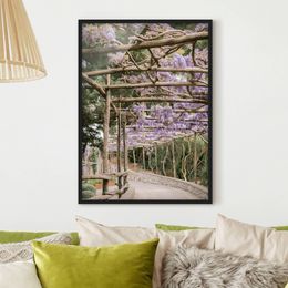 Bilderwelten Bild mit Rahmen Unterm Blauregen
