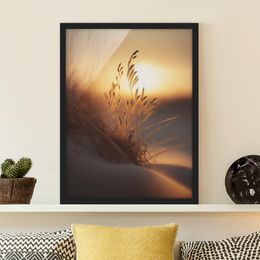 Bilderwelten Bild mit Rahmen Zarte Gr&auml;ser im Sonnenaufgang