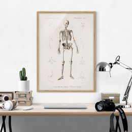 Bilderwelten Bild mit Rahmen Vintage Schautafel - Skelett
