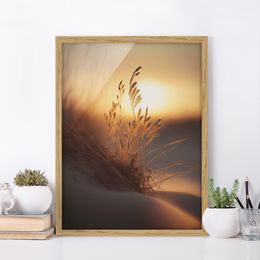 Bild mit Rahmen Zarte Gr&auml;ser im Sonnenaufgang
