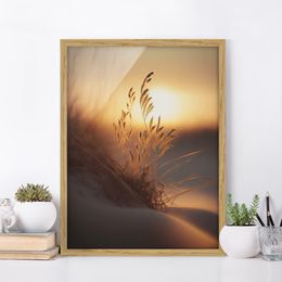 Bild mit Rahmen Zarte Gr&auml;ser im Sonnenaufgang