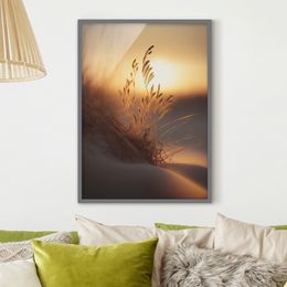 Bild mit Rahmen Zarte Gr&auml;ser im Sonnenaufgang