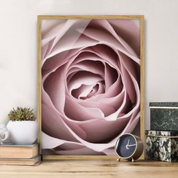 Bild mit Rahmen Zarte Rose in Altrosa
