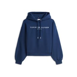 Tommy Hilfiger Sweatshirt female Blue size 3XL