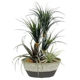 Kunstpflanze I.GE.A. "Dracena/Tillandsia", gr&uuml;n, B:23cm H:31cm L:18cm, Kunstpflanzen, Kunstpflanze, Im &Uuml;bertopf aus Keramik