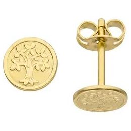 Paar Ohrstecker Jobo "Lebensbaum", gold (gelbgold 333), Ohrringe, Damen, 6,4mm, Gelbgold 333, 333 Gold
