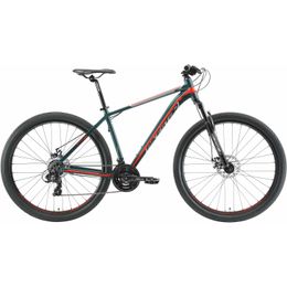 Mountainbike Bikestar Gr. 48, grün, Fahrräder, 48cm, 29 Zoll (73,66cm), für Damen und Herren, Kettenschaltung